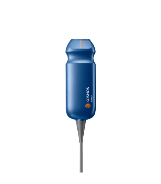 EchoNous | Bluestone Corporation
